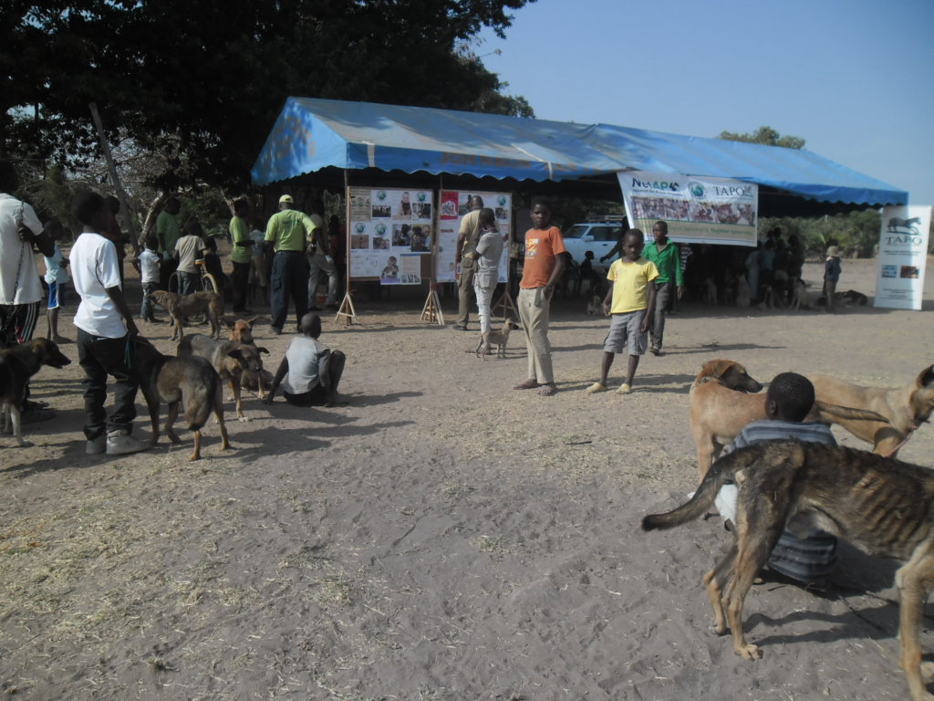 Children Against Rabies Disease - GlobalGiving