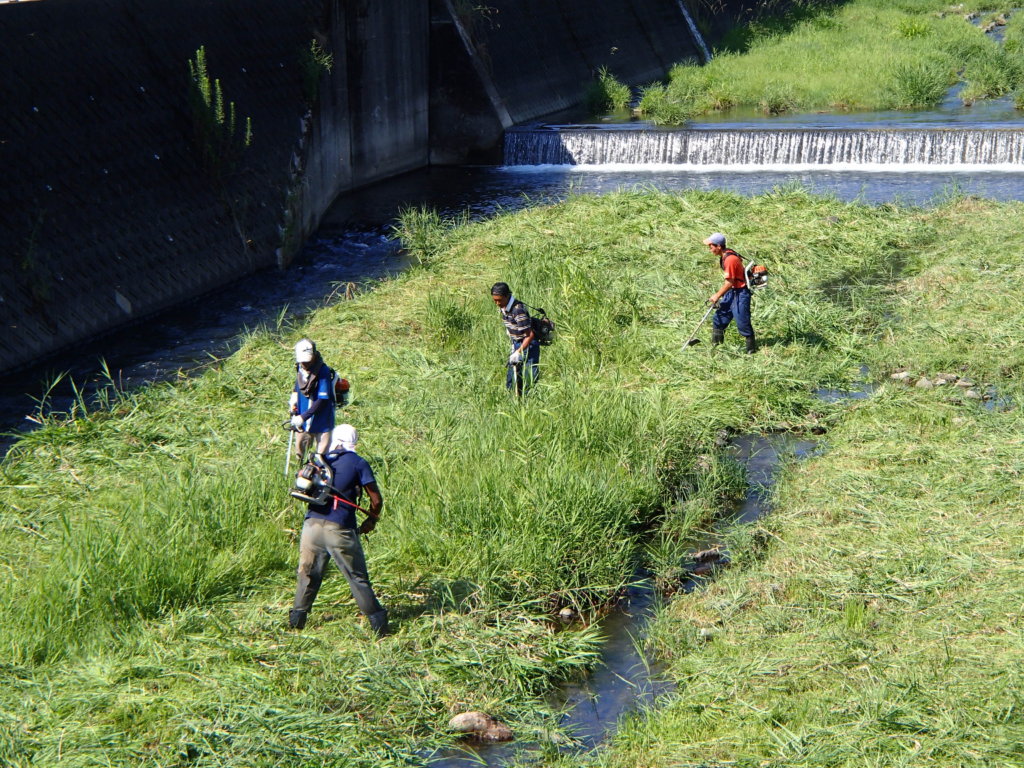 Community Revitalization Project in Kumamoto - GlobalGiving