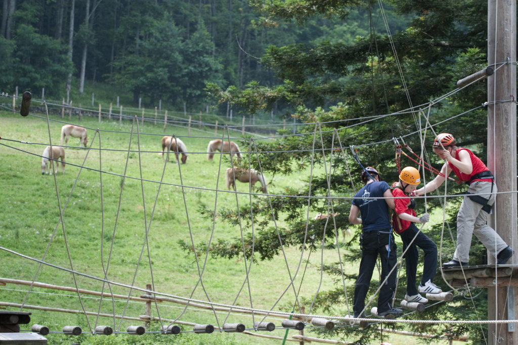 Dynamo Camp - serious fun for sick children - GlobalGiving