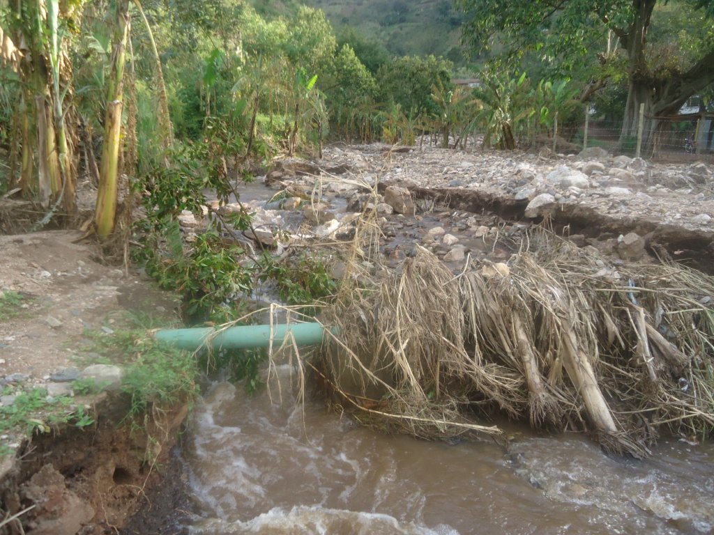 Stop Global-Warming, Give Hope 20000 Ugandan Women - GlobalGiving