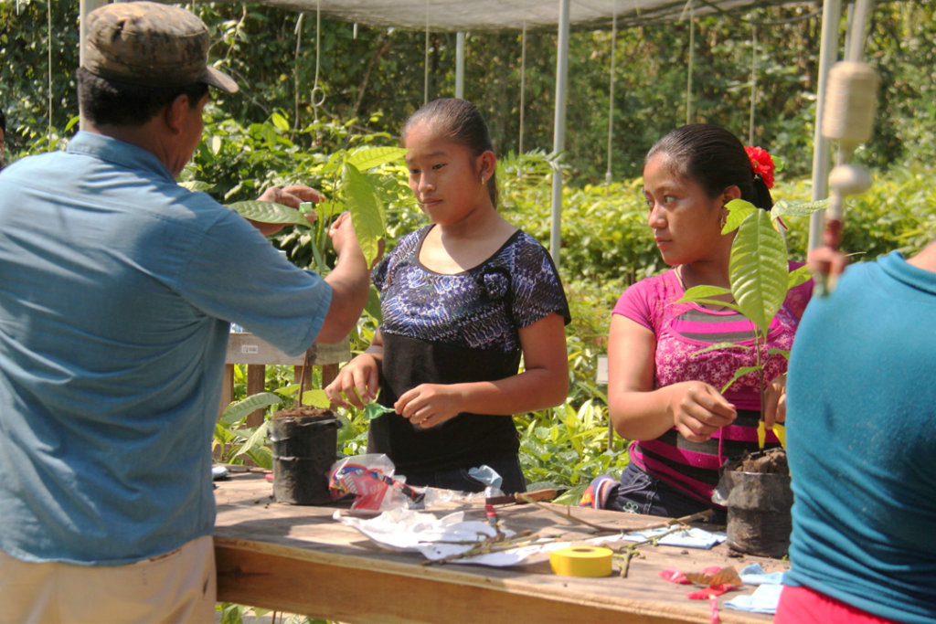 Assist Local Indigenous Farmers in Southern Belize - GlobalGiving
