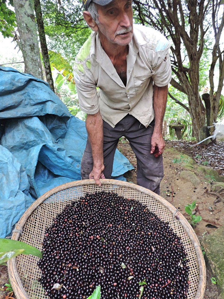 Transform 100 Rural Communities in Brazil - GlobalGiving