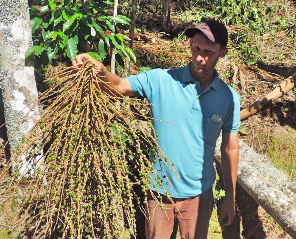 Transform 100 Rural Communities in Brazil - GlobalGiving