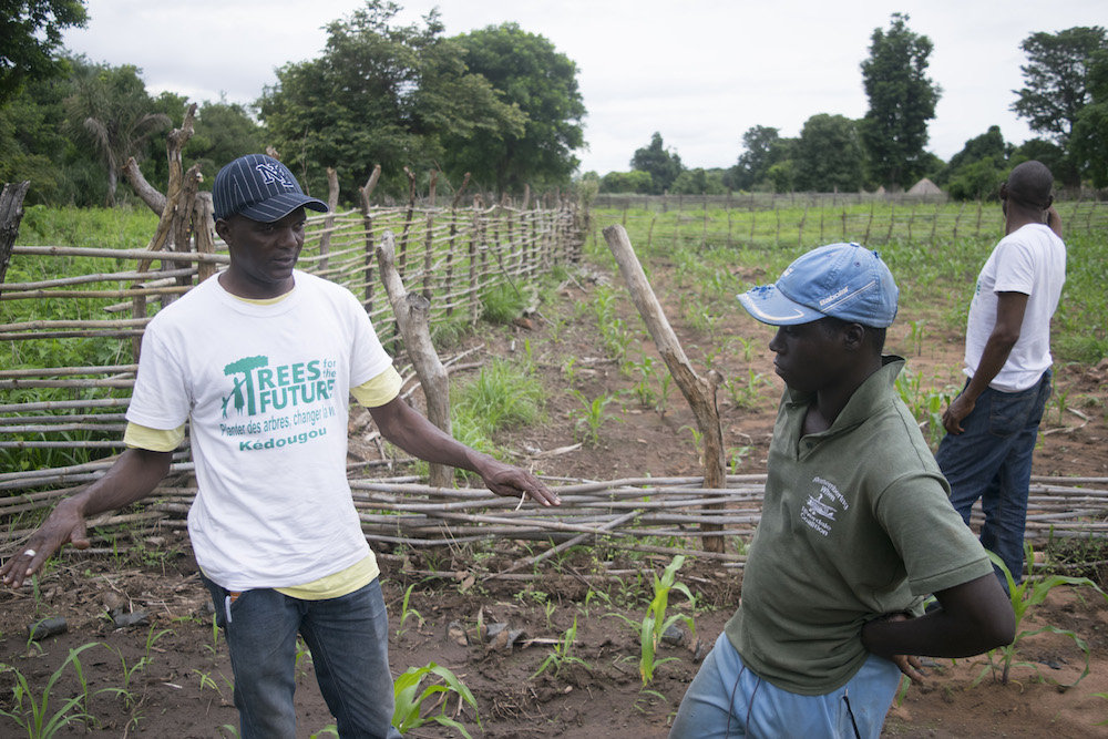 Help 244 Families Out of Poverty in Senegal! - GlobalGiving