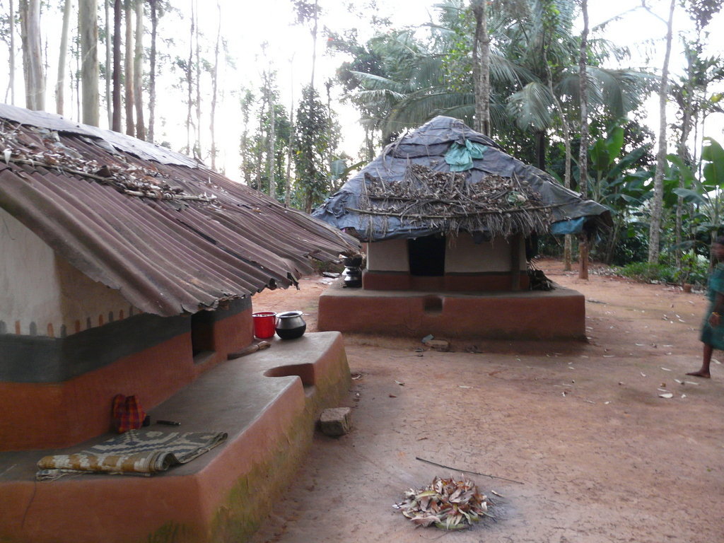 Build 14 new homes for indigenous tribes in India - GlobalGiving