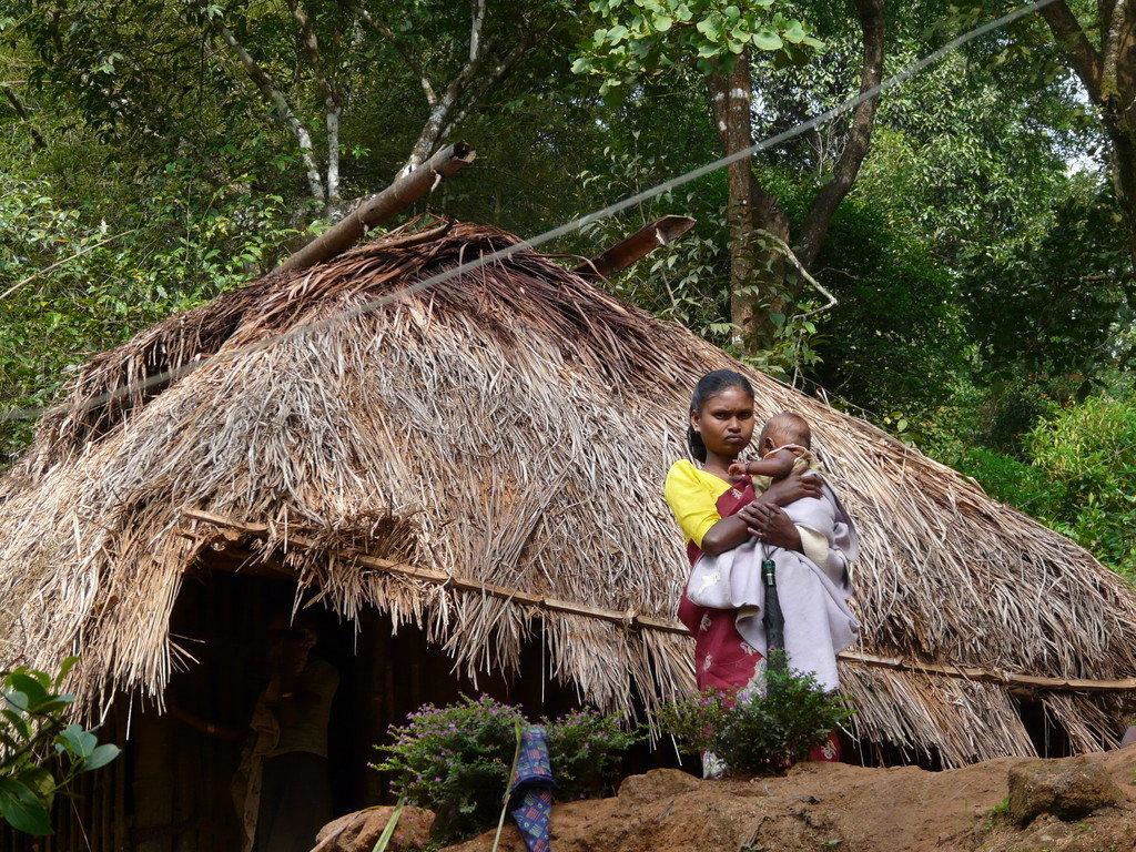 Build 14 new homes for indigenous tribes in India - GlobalGiving