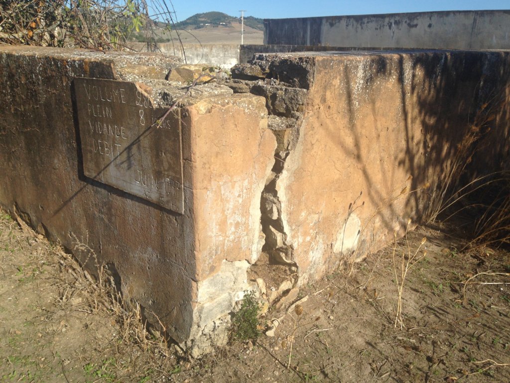 Cultivating Indigenous Figs in Ouezzane, Morocco - GlobalGiving