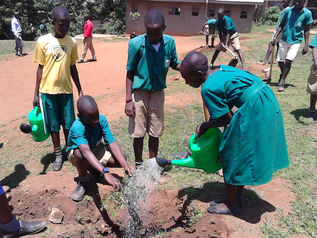Green Schools Project - GlobalGiving