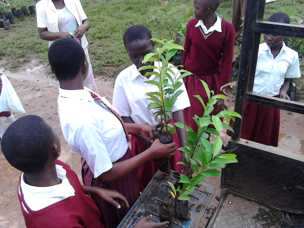 Green Schools Project - GlobalGiving