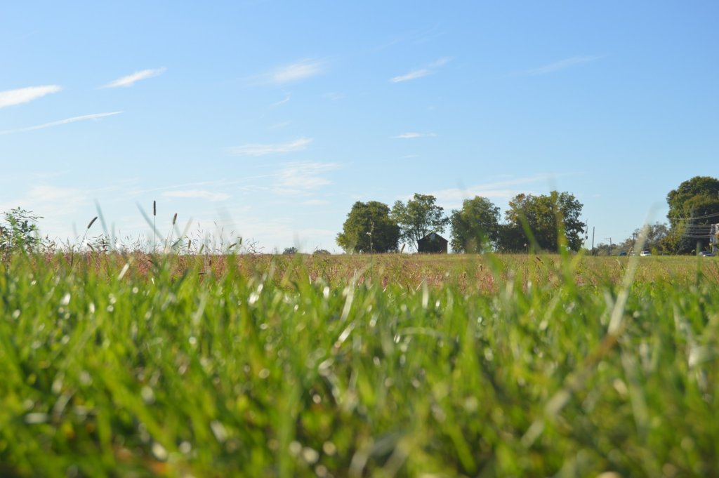 Sweet Fields - organic farm & education center - GlobalGiving