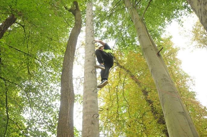 buy a 29ft pamper pole for youth at risk Belgium - GlobalGiving