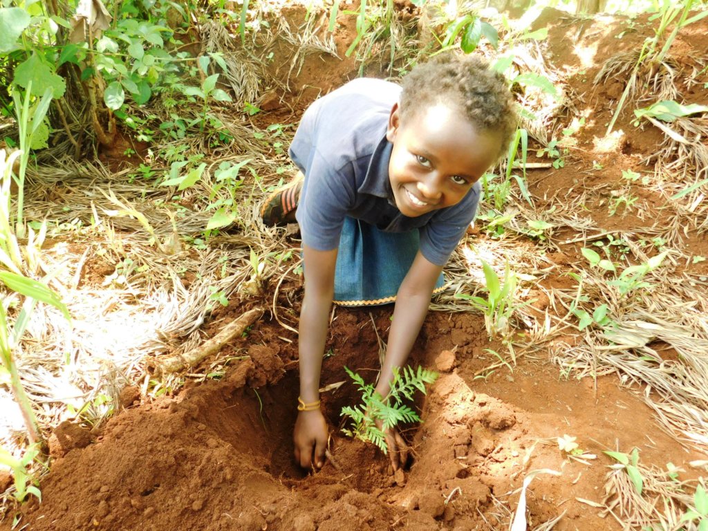 Plant 50,000 Trees in Mount Kenya Forest - GlobalGiving