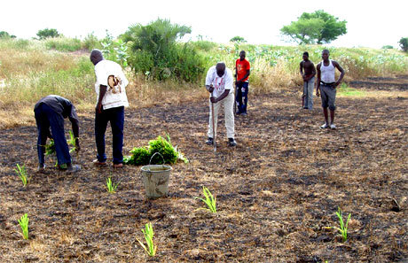 Better Agricultural Practice for Poor Farmers - GlobalGiving