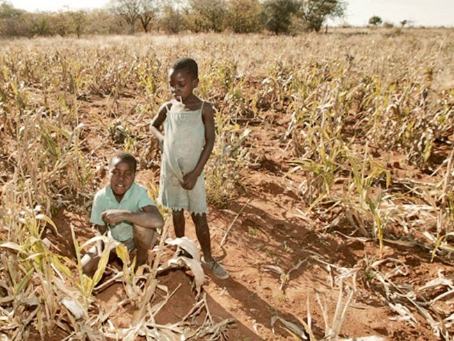 Better Agricultural Practice for Poor Farmers - GlobalGiving