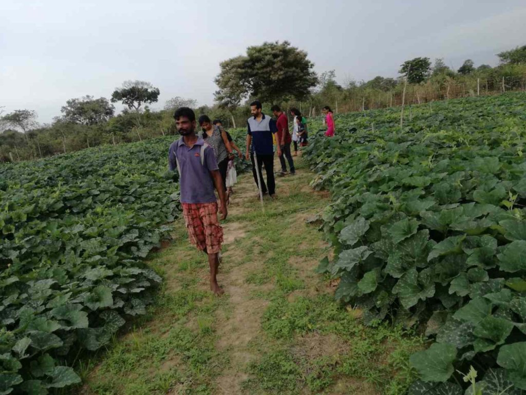 Integrated Farming Project - GlobalGiving