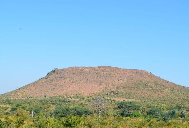 Restore Indigenous Trees for Climate Change - GlobalGiving