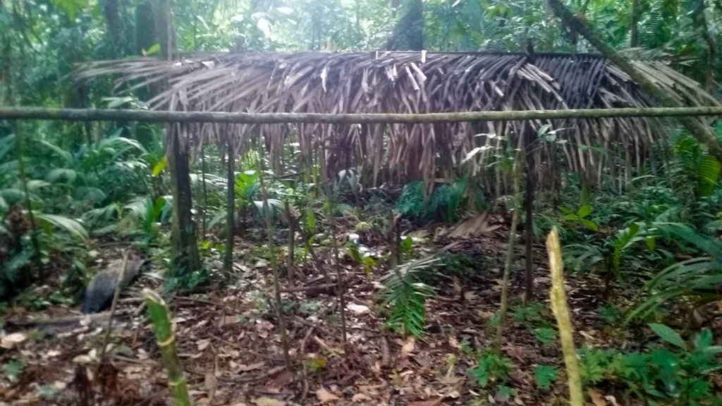 Help Rangers Protect Forests in Southern Belize - GlobalGiving