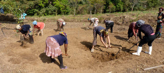 Building a Sustainable Community in Bafut - GlobalGiving