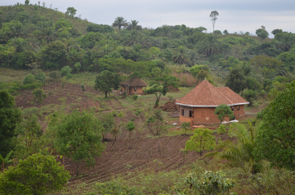 Building a Sustainable Community in Bafut - GlobalGiving