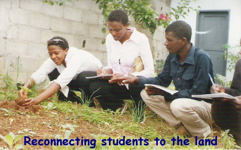 Building a Sustainable Community in Bafut - GlobalGiving