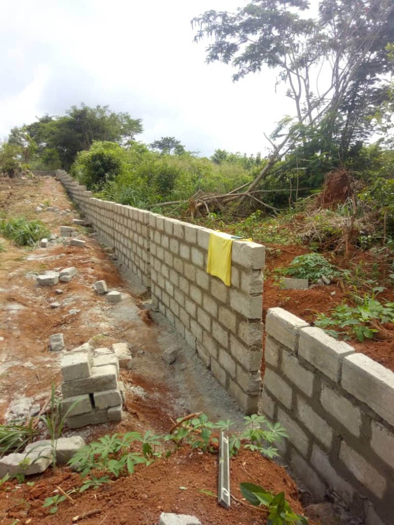 Reports on Orphanage Commissioned and Accepting Children - GlobalGiving