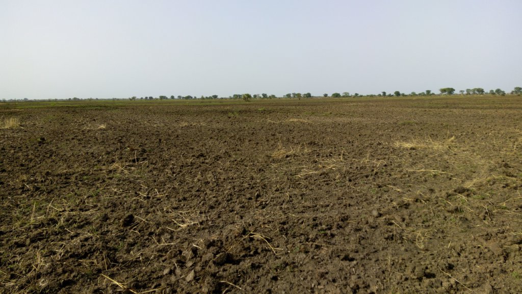 How to Share Support 60 farmers in Aweil - GlobalGiving