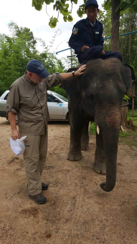 Help 3,000 Elephants/10,000 Villagers in Myanmar - GlobalGiving