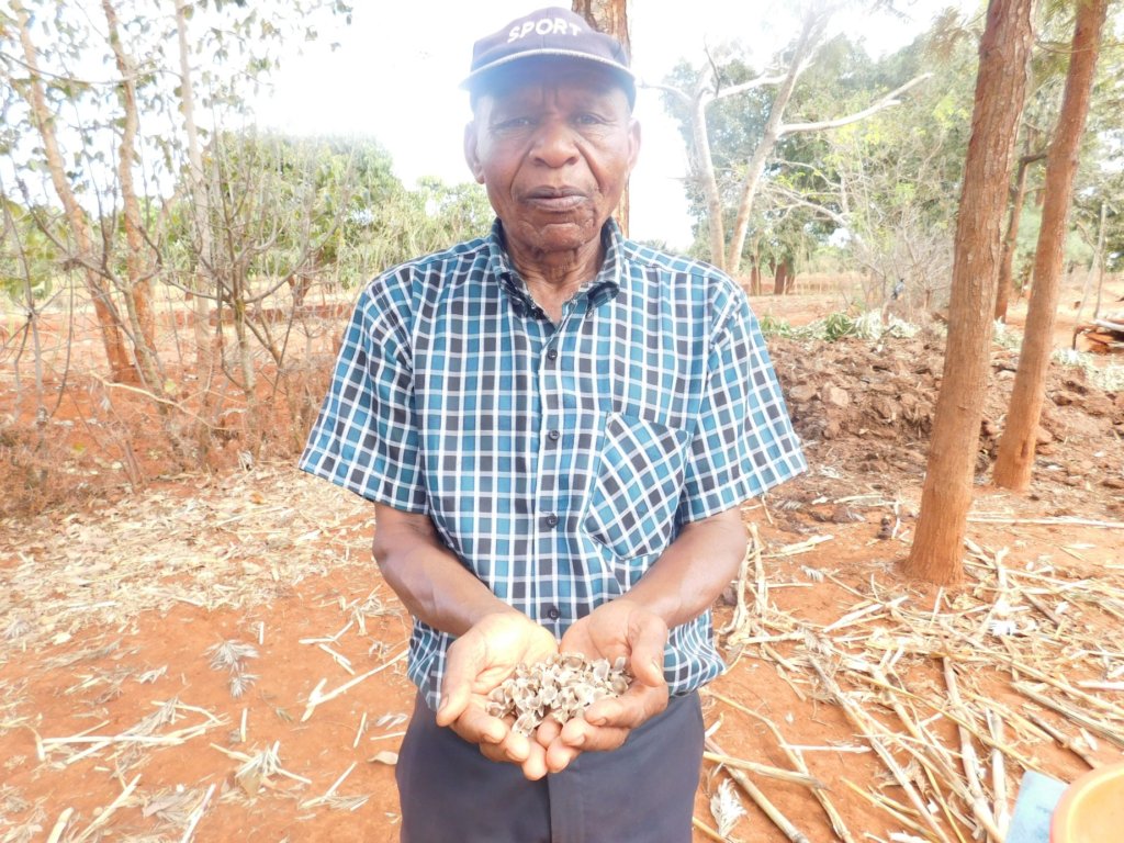 Moringa Trees for 1000 Makueni Farmers - GlobalGiving