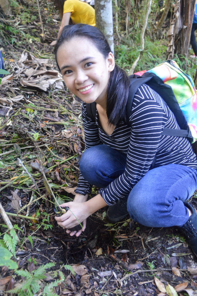 Help Us Plant 1 Hectare of Philippine Native Trees - GlobalGiving