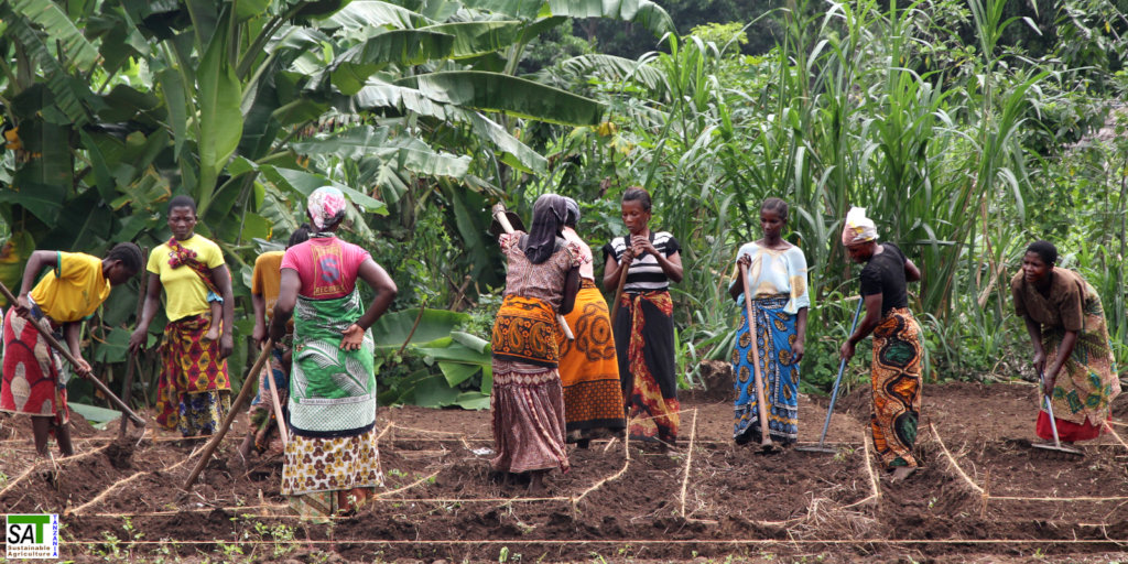 How to Share Organic Farming for Small Farmers in Tanzania - GlobalGiving