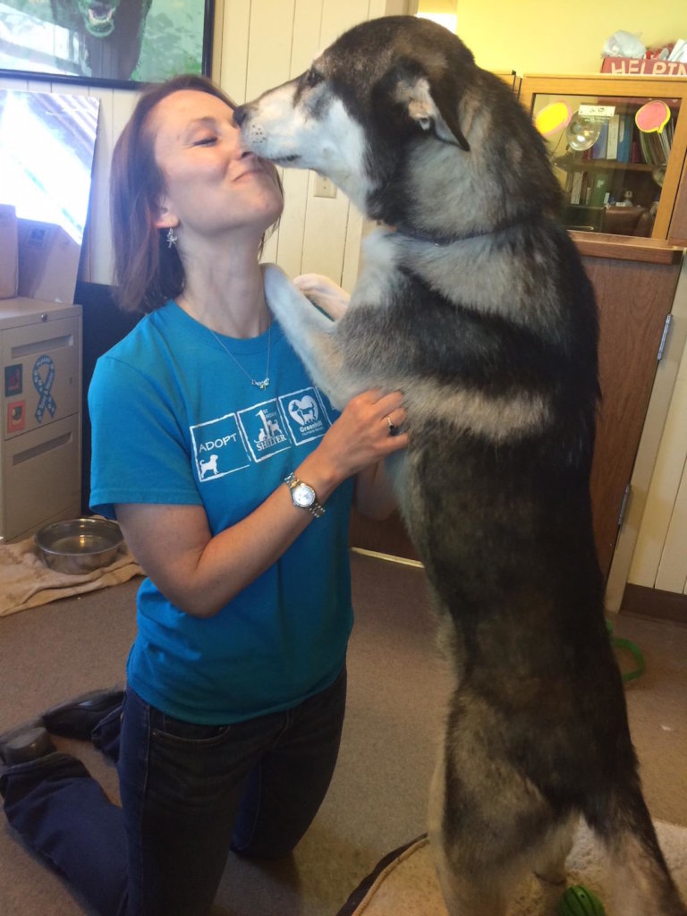 Save the Lives of Homeless Animals in Oregon - GlobalGiving