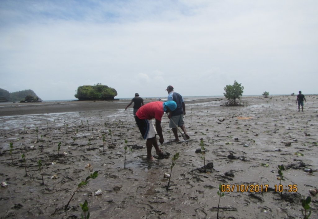 Building of Resilient Communities in Ra , Fiji - GlobalGiving