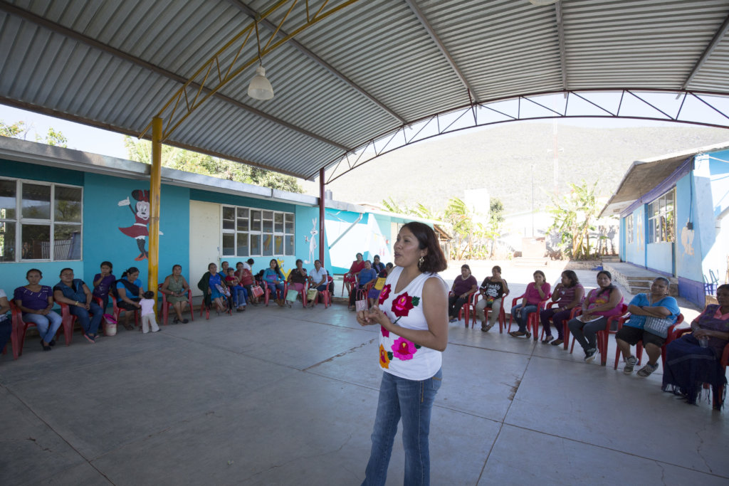 Support Grassroots Earthquake Recovery in Mexico - GlobalGiving