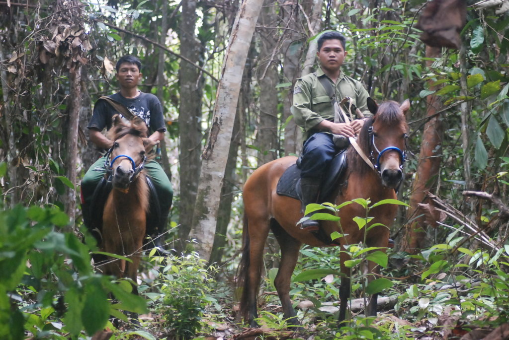 Save the forest of gibbons in Indonesia ! - GlobalGiving