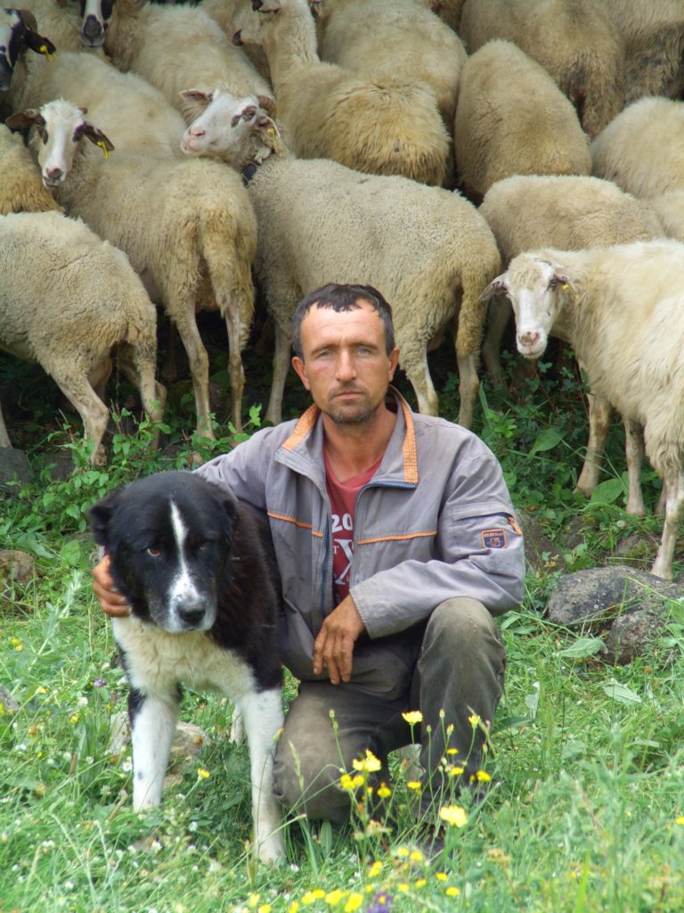 Support Greek farmers,Shepherdog breeds & wildlife - GlobalGiving