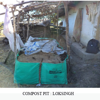 Compost Pit for Food Security of a tribal Family - GlobalGiving