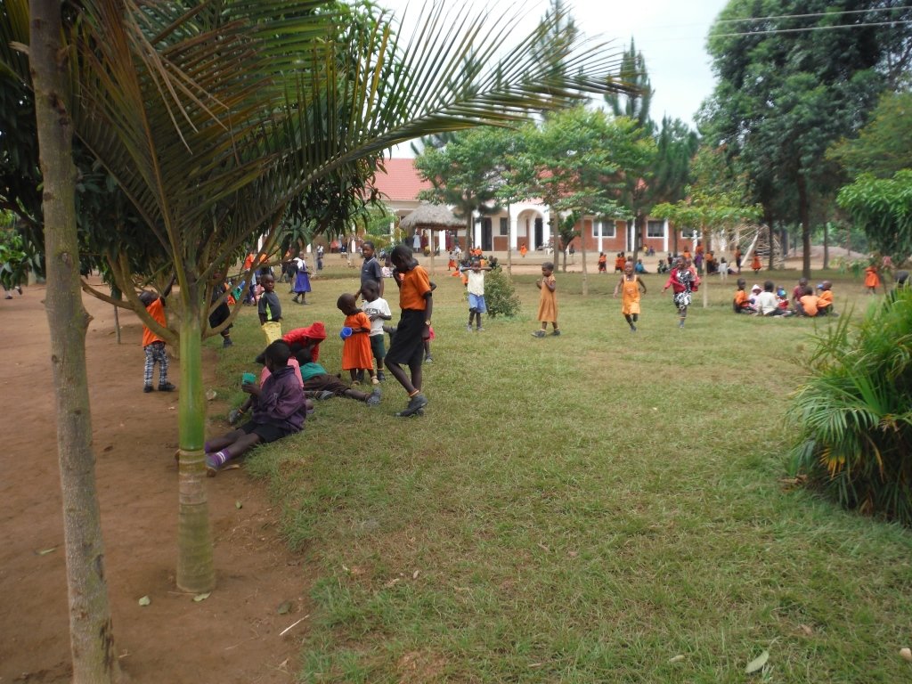 Poultry project to feed 300 orphans in Uganda - GlobalGiving