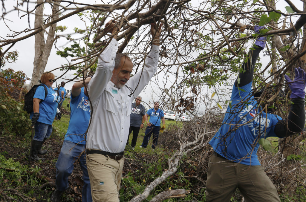 Habitat Puerto Rico - Help Plant 750,000 Trees - GlobalGiving