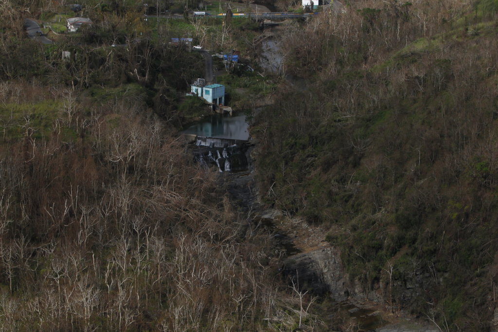 Habitat Puerto Rico - Help Plant 750,000 Trees - GlobalGiving