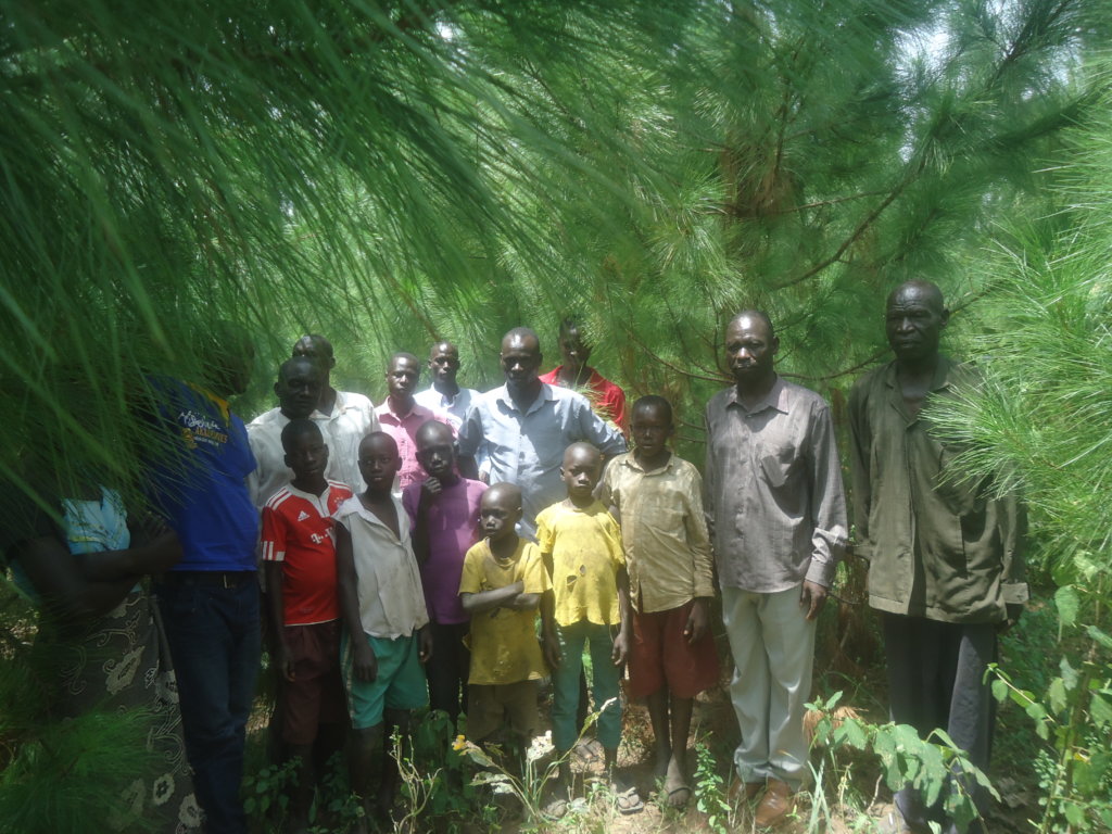 RAISE MONEY FOR PLANTING 324,000 TREES IN UGANDA - GlobalGiving