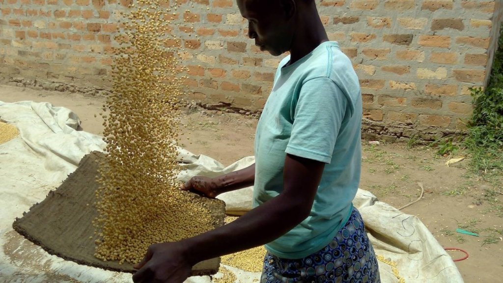 Economically empower women in rural Uganda - GlobalGiving