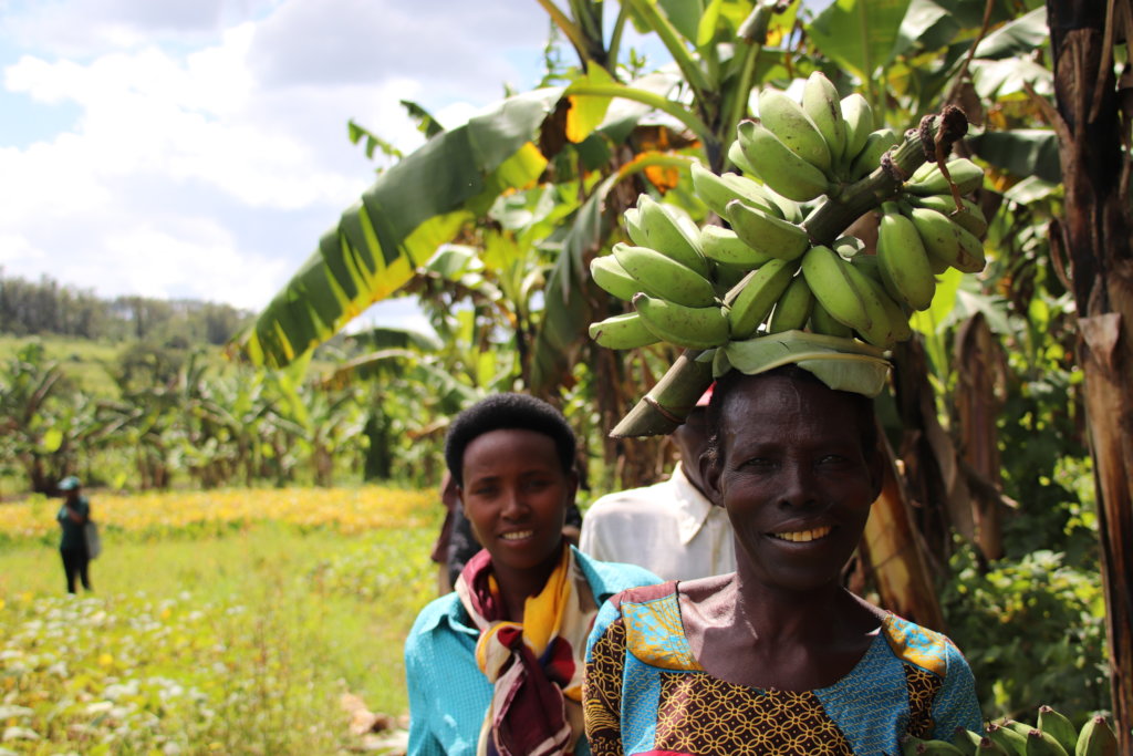Empower 2000 local Rwandan Farmers & Restore 100ha - GlobalGiving