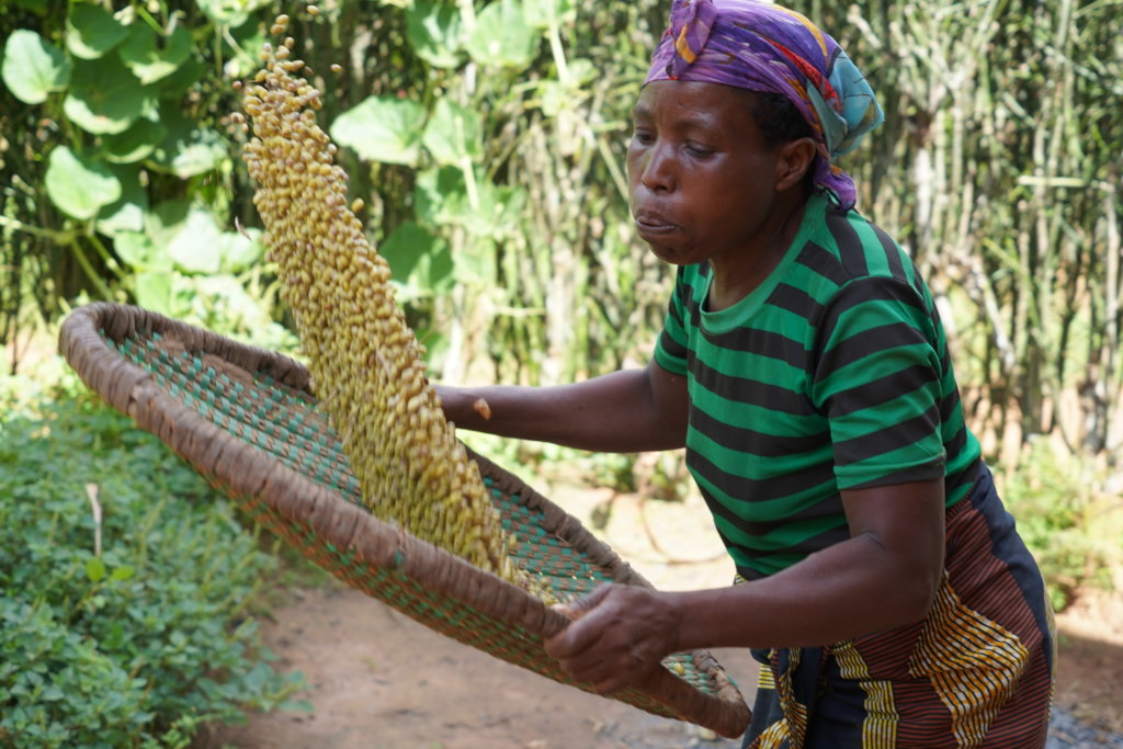 Empower 2000 local Rwandan Farmers & Restore 100ha - GlobalGiving