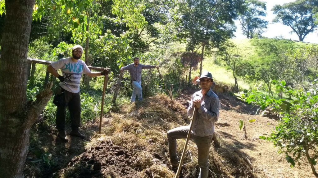 Sustainable agriculture for small farming families - GlobalGiving