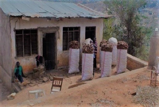 Organic Ginger Certification and Value Chain Sub-S - GlobalGiving