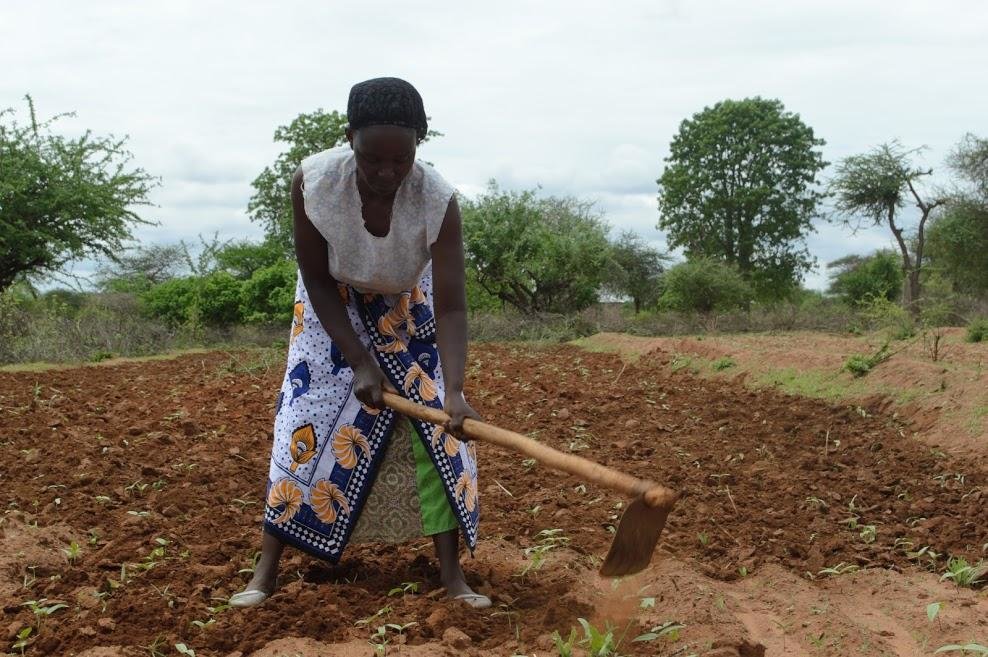 Providing Rights for Dogs in Kenya - GlobalGiving