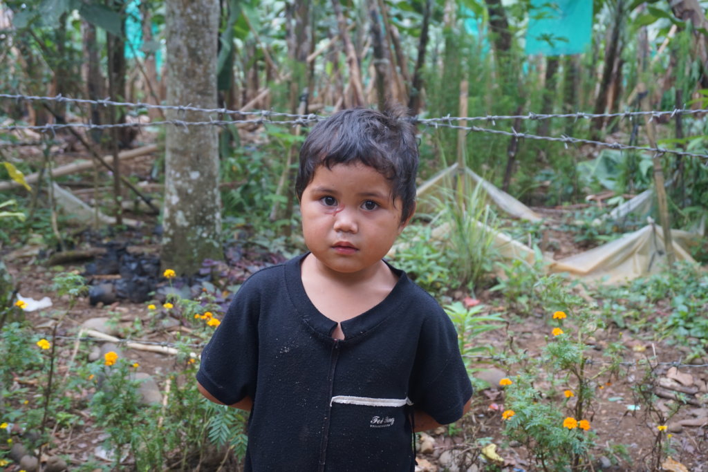 Literacy for 500 rural children in Mindanao - GlobalGiving