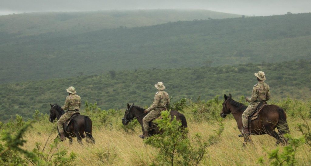 Support Mounted Rangers Fighting Rhino Poaching - GlobalGiving