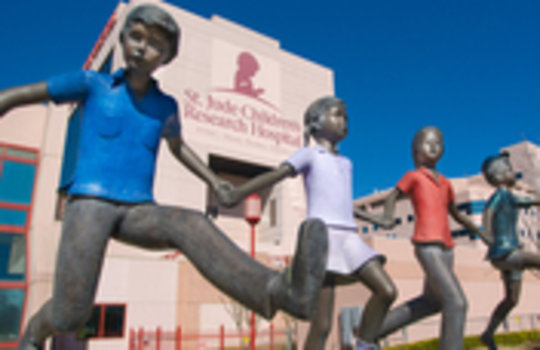 Donate to St. Jude Children's Research Hospital - GlobalGiving
