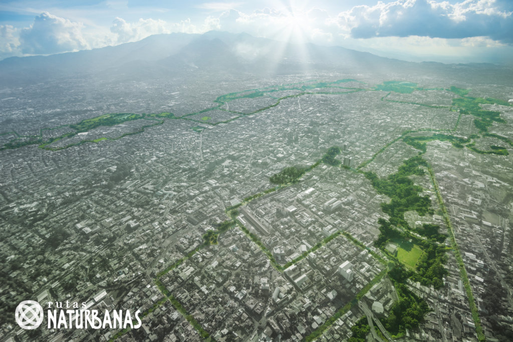 Reforestation of Costa Rica's urban riverbanks - GlobalGiving